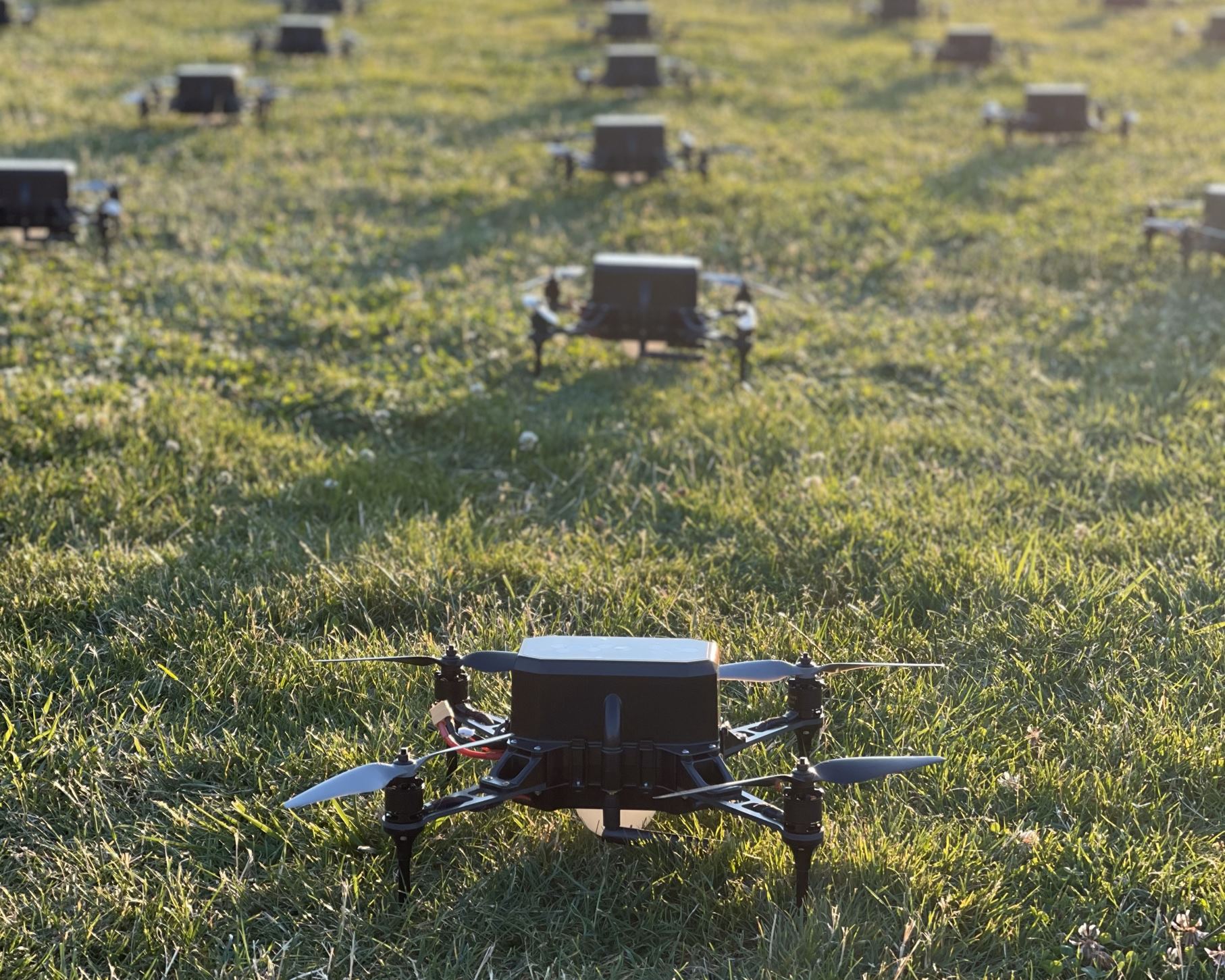 Local Entertainment—Seattle Drone Light Shows | Open Sky Pro